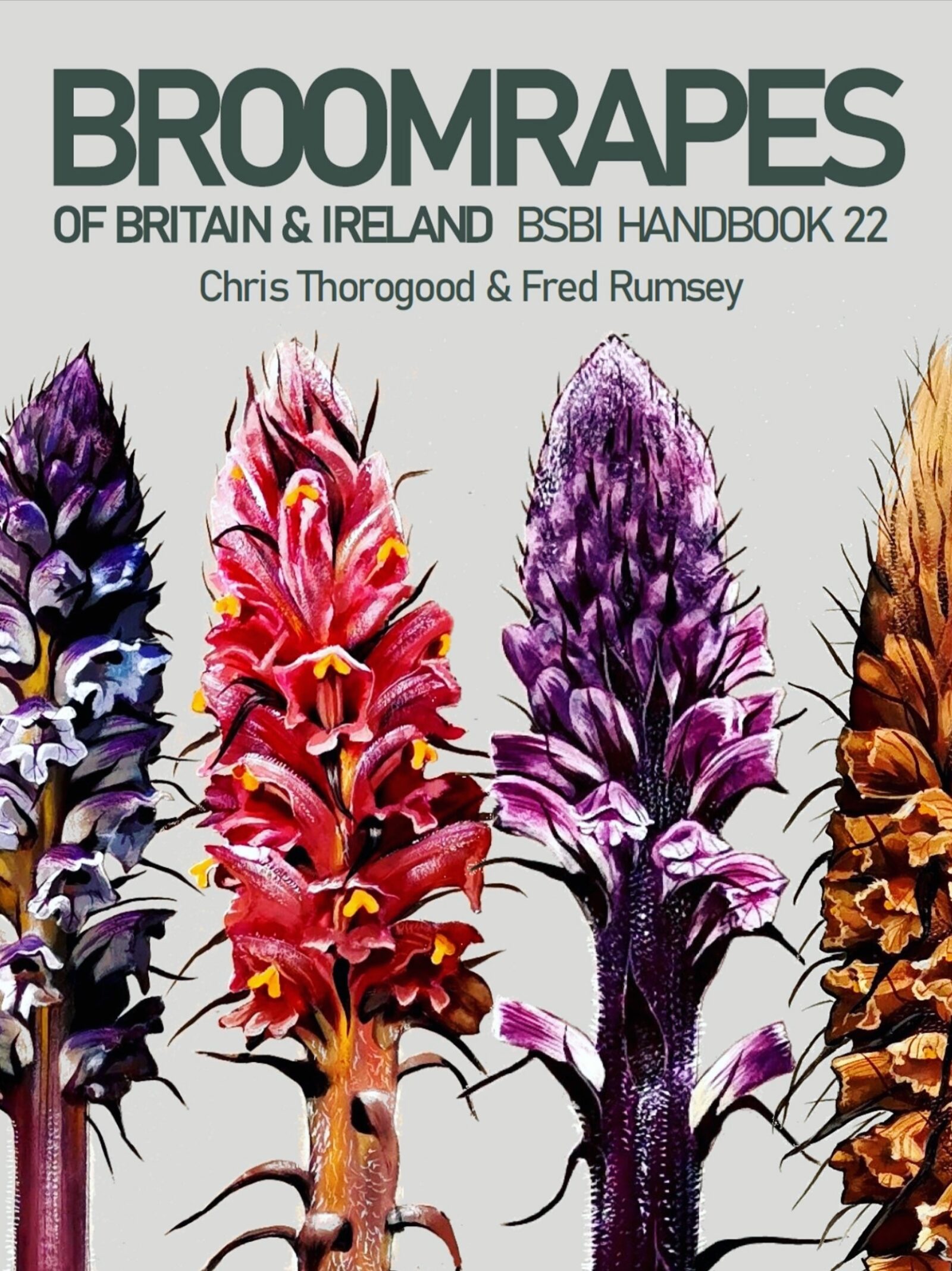 Broomrapes of Britain & Ireland - British Wildlife