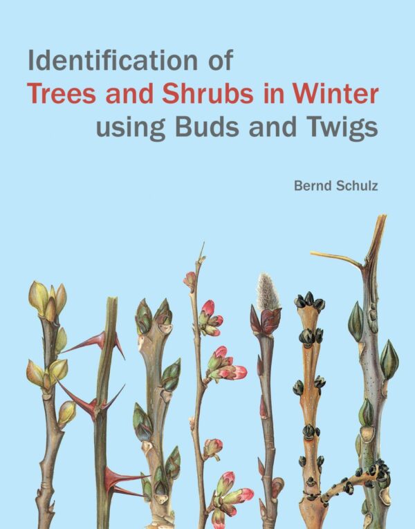 Identification of Trees and Shrubs in Winter using Buds and Twigs by ...