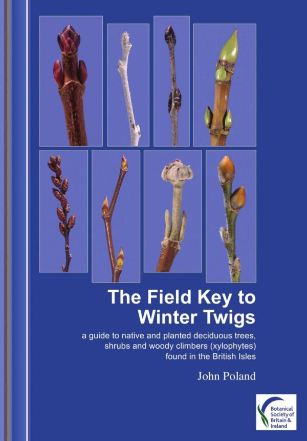 The Field Key to Winter Twigs: A Guide to Native and Planted Deciduous ...