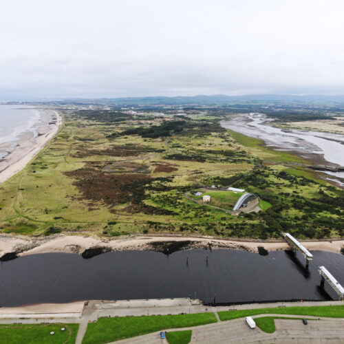 Brownfield Archives - British Wildlife