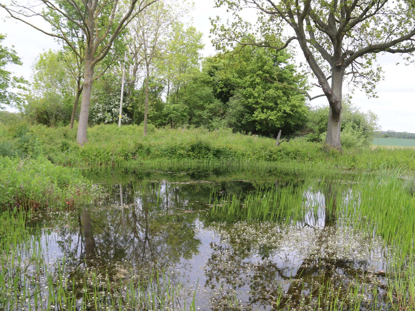 Agricultural Archives - British Wildlife