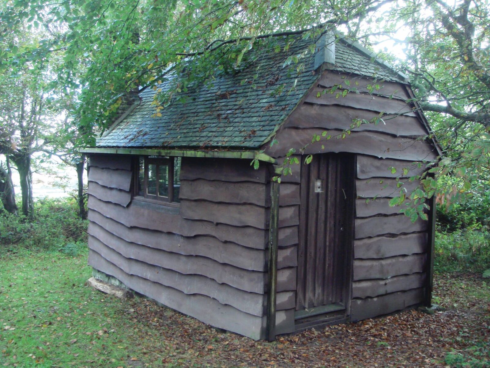 Henry Williamson: nature writer and conservationist - British Wildlife