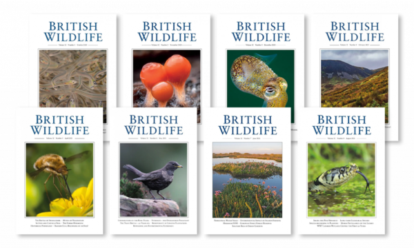 About British Wildlife - British Wildlife