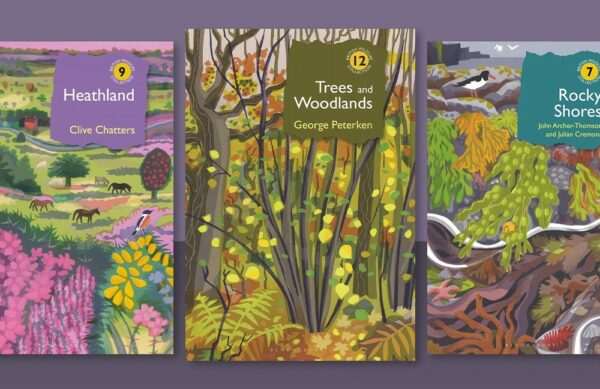 Home - British Wildlife