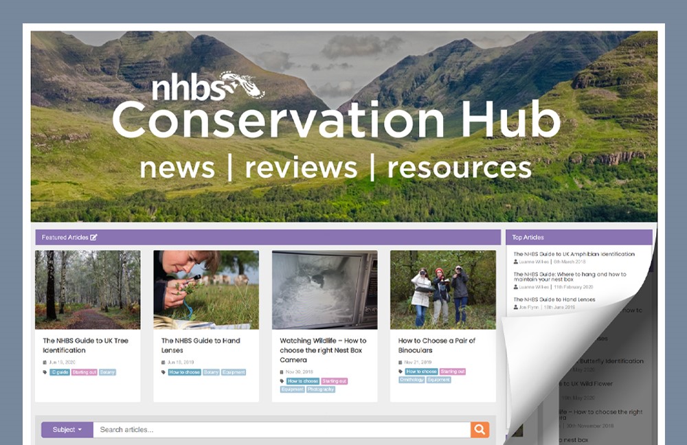 Home - British Wildlife