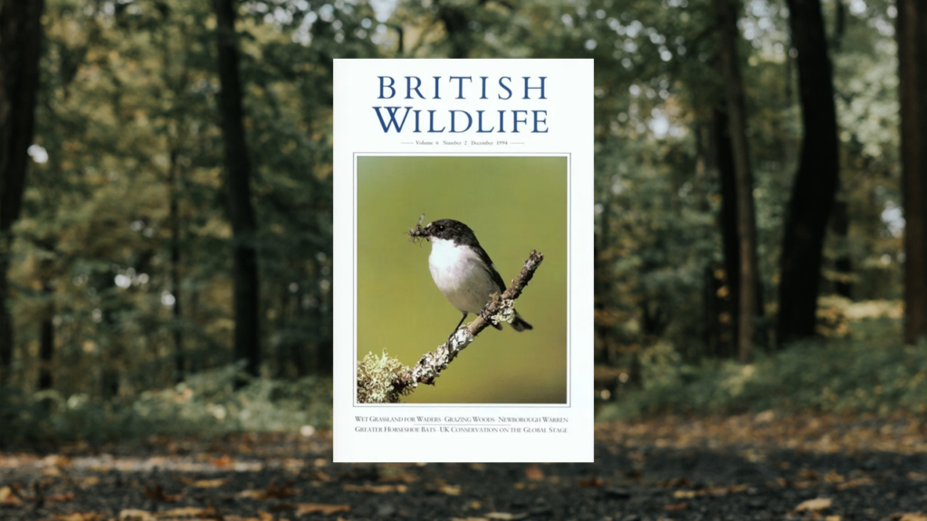 British Wildlife 06.2 December 1994 Archives - British Wildlife