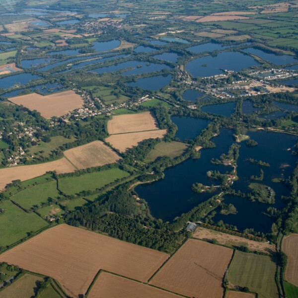 Broadleaf trees Archives - British Wildlife