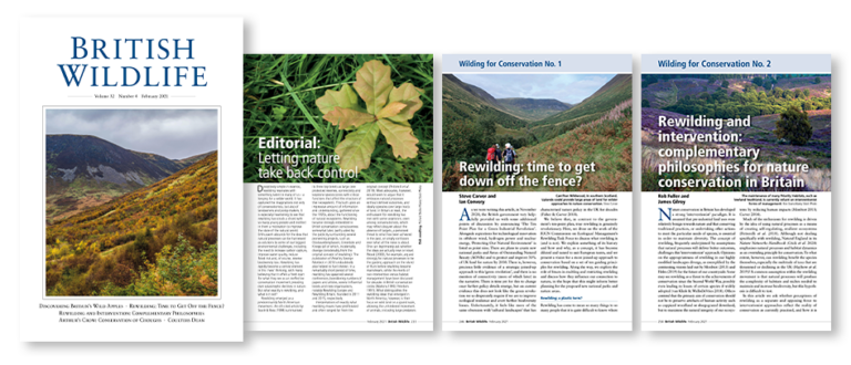 Wilding for Conservation - British Wildlife