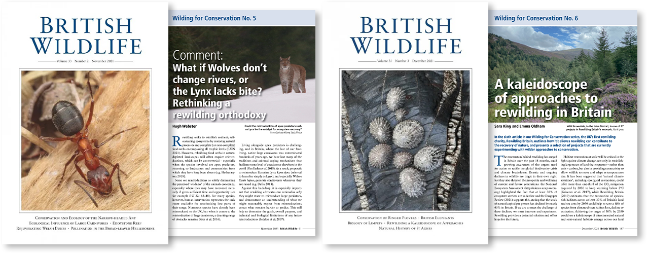 Wilding for Conservation - British Wildlife