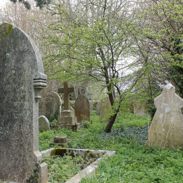 Richard Benwell Archives - British Wildlife