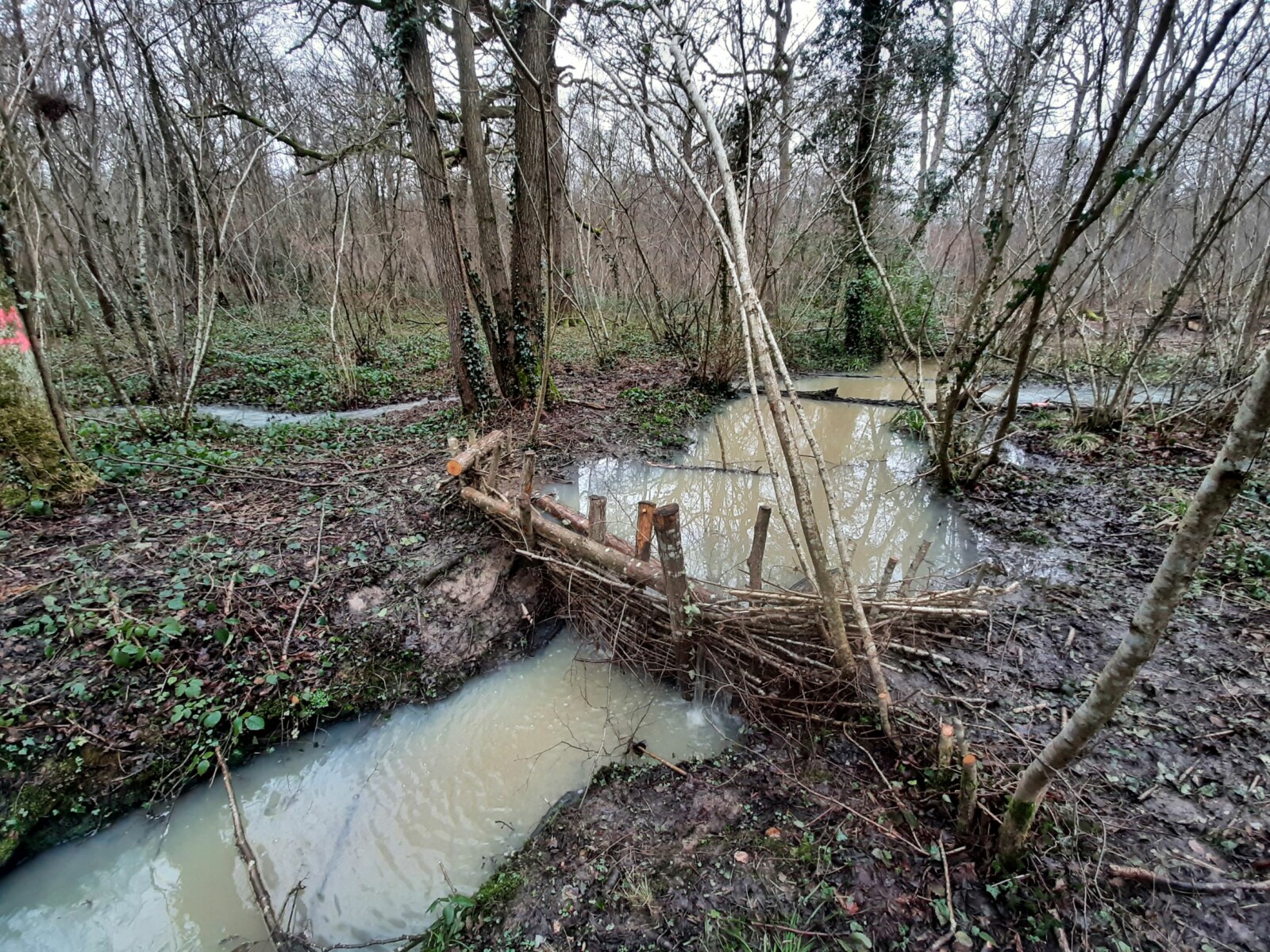Habitat management news - British Wildlife