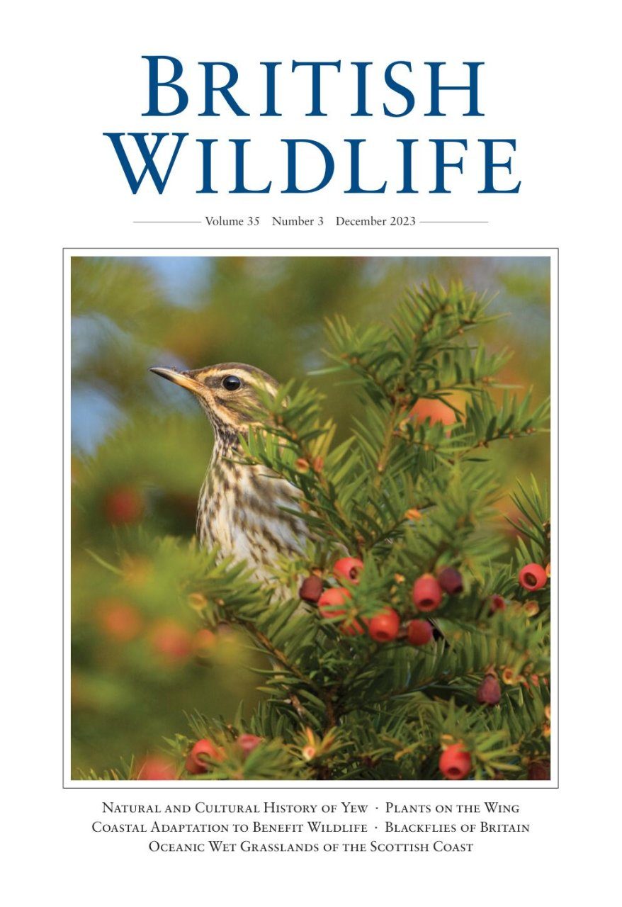 Home - British Wildlife