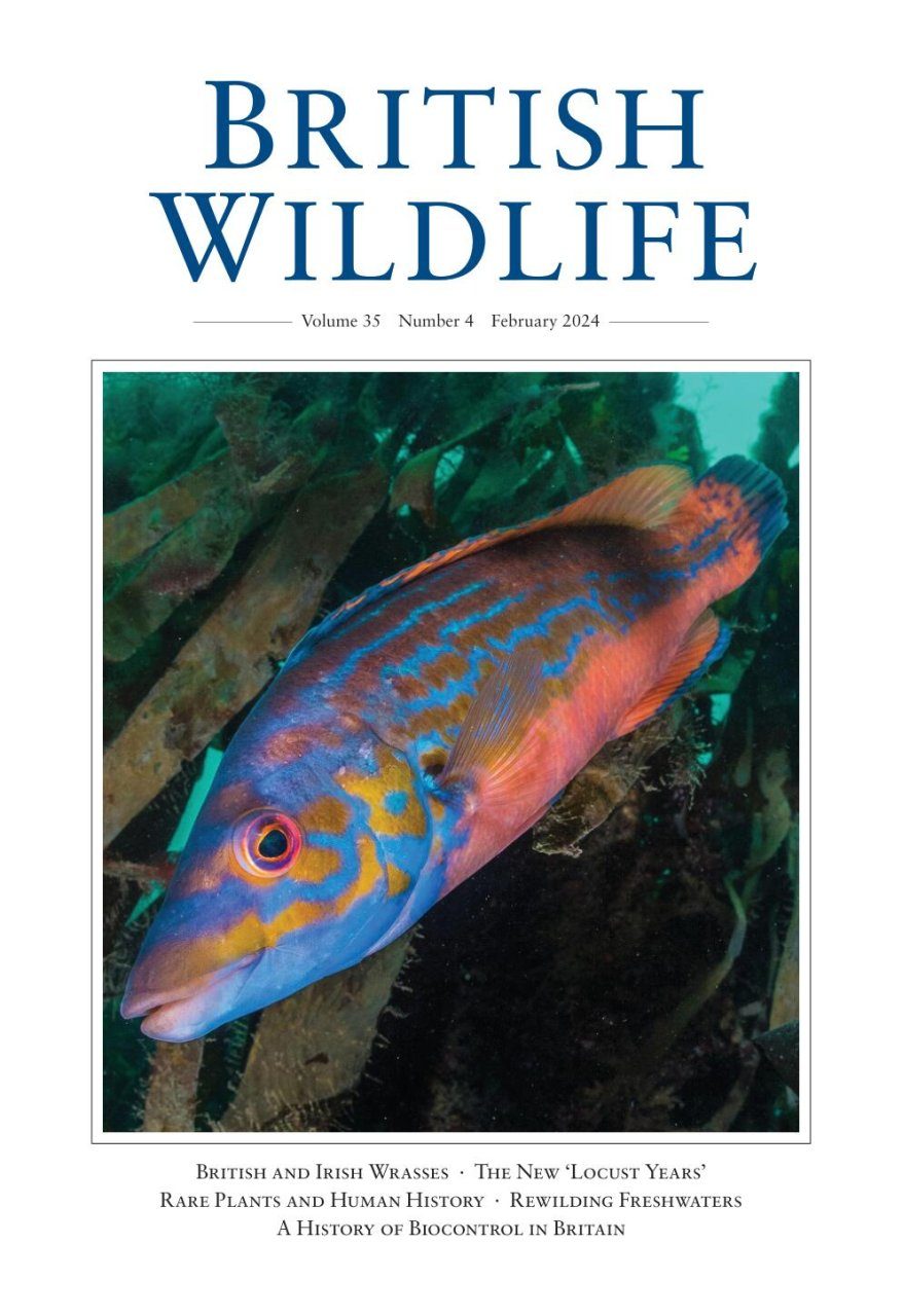 Home - British Wildlife