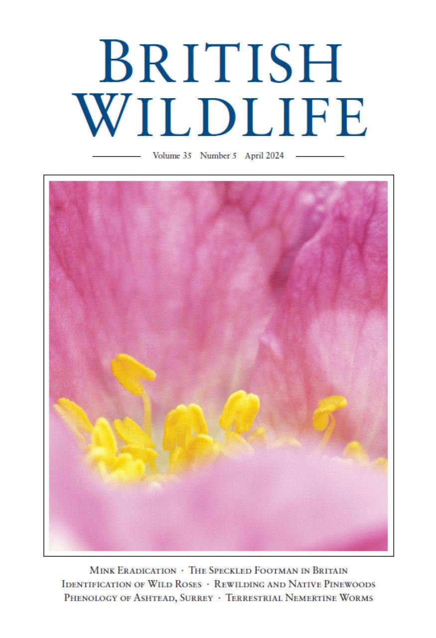 Home - British Wildlife