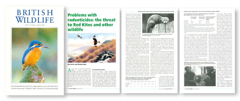 A retrospective on the problems with rodenticides - British Wildlife