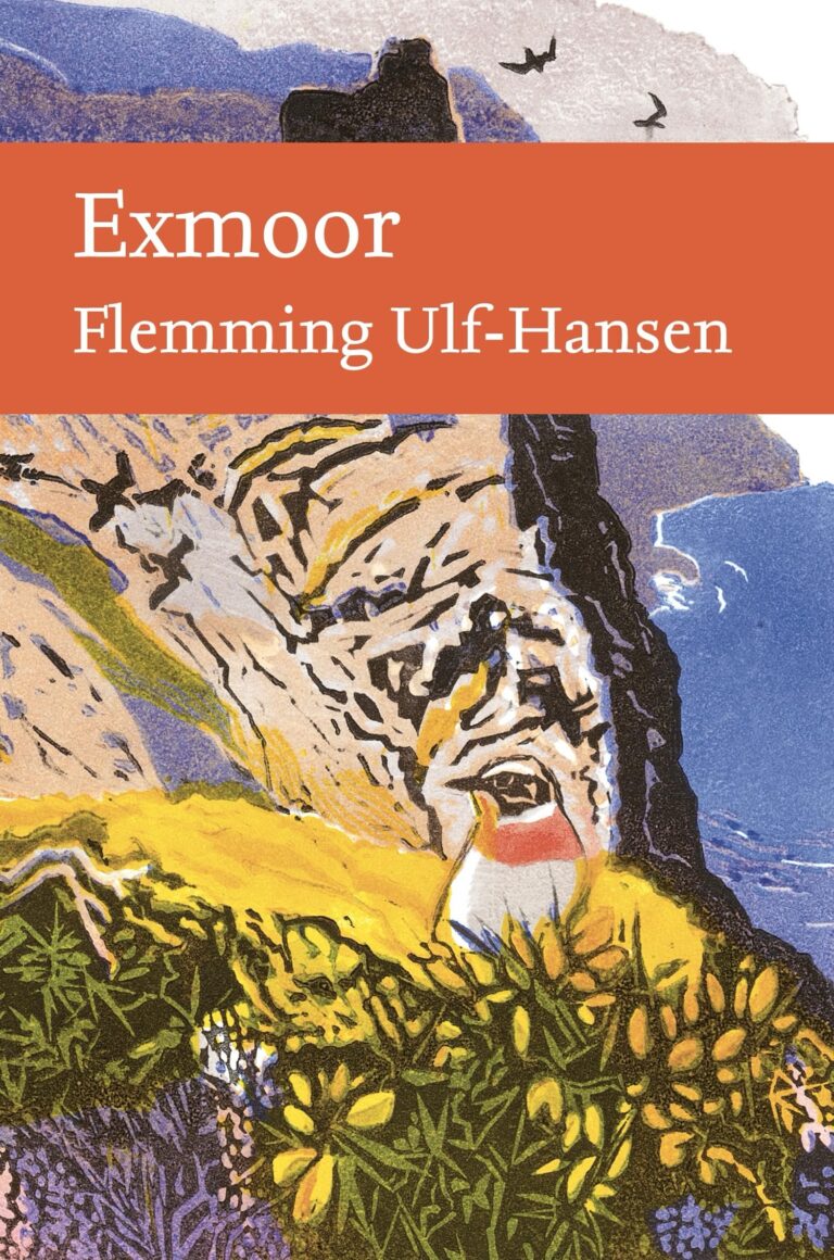 Exmoor - British Wildlife